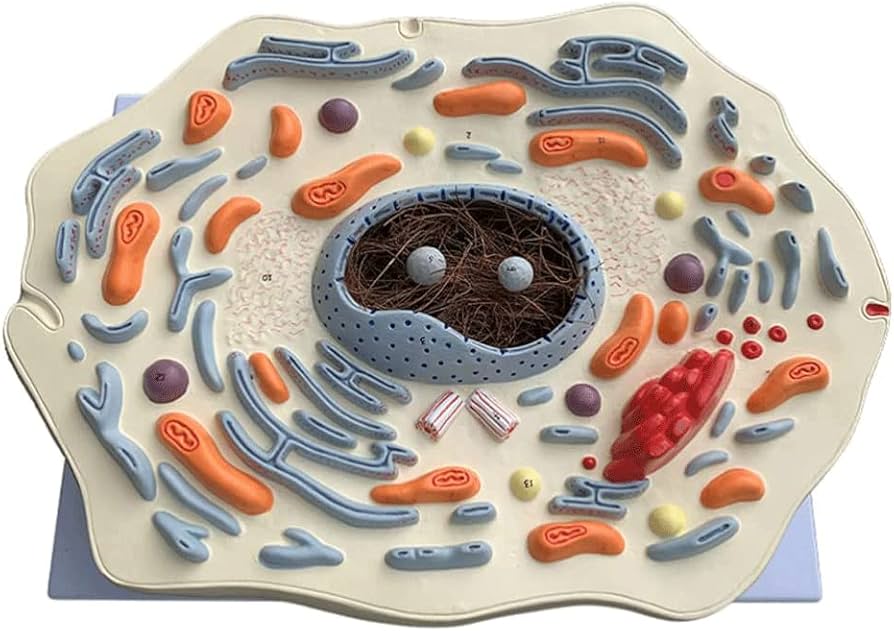 Cómo puedo saber qué modelo de celular tengo fácilmente